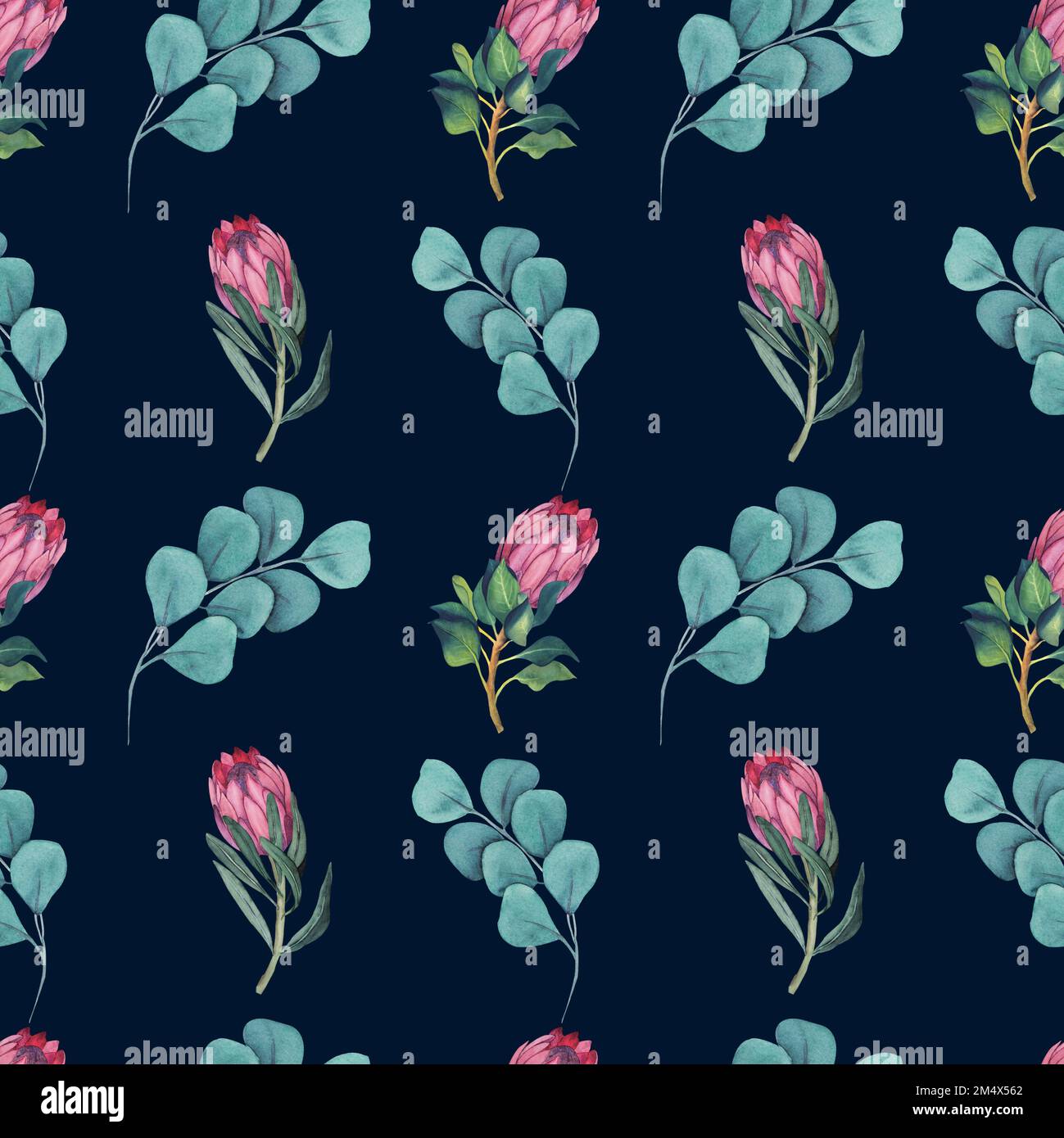 Watercolor seamless pattern with magenta protea, floral background ...