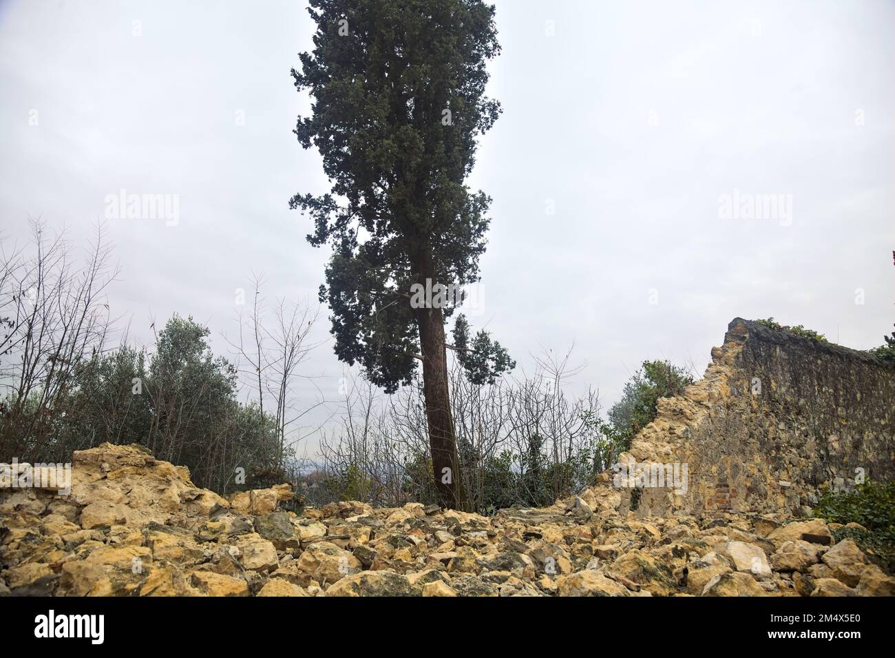 Opening in a stone wall partly blocked by a cypress with debris all ...