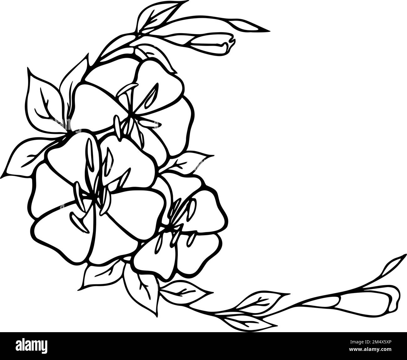 black outline drawing flowering branches on a white background ...