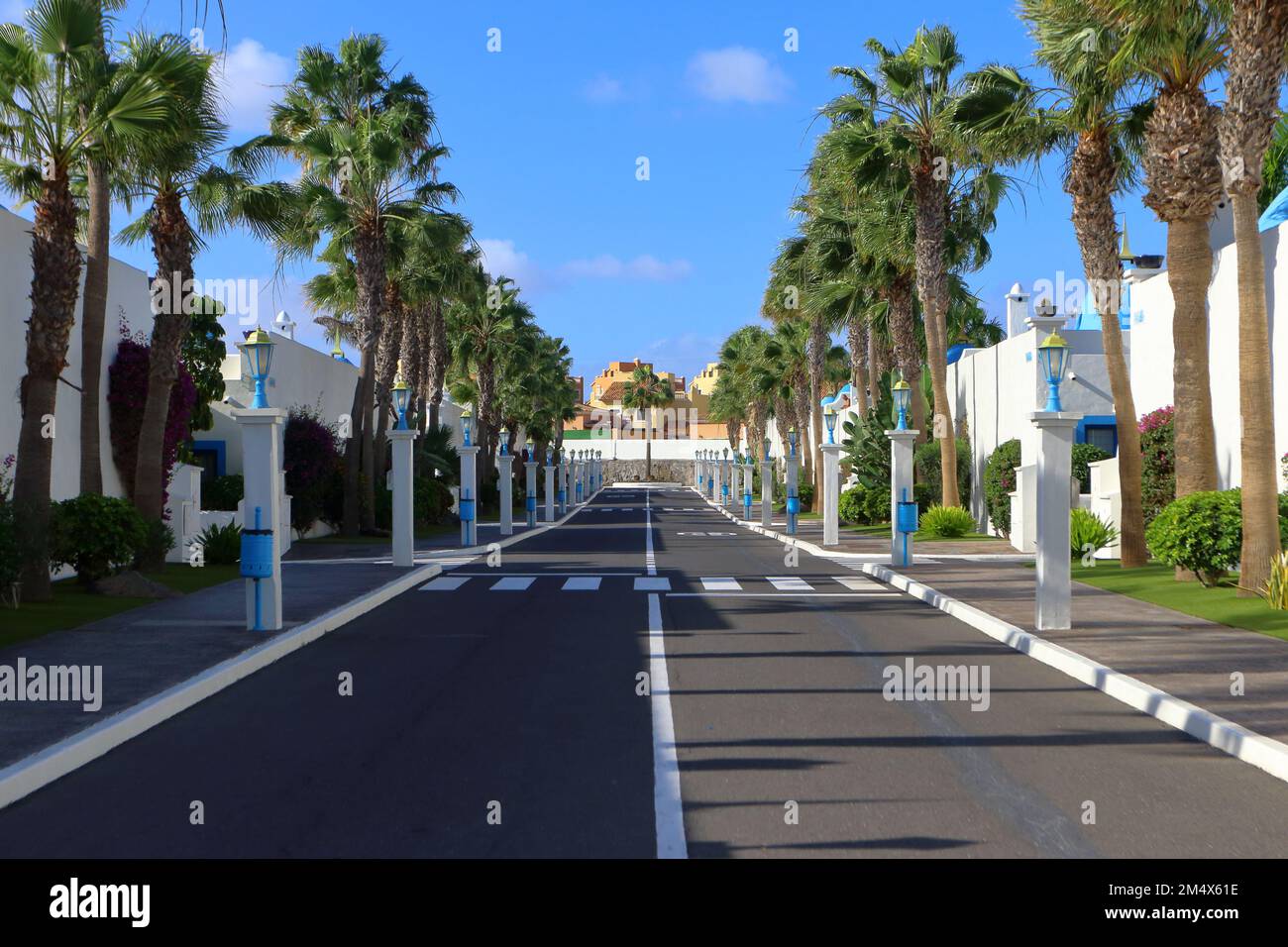 a clean and tidy tree lined road in a villa complex Stock Photo - Alamy