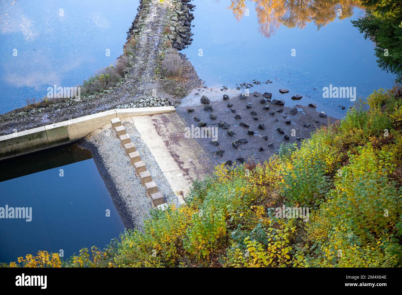 Lake at a dam with plant embankment and tree reflection. High quality ...