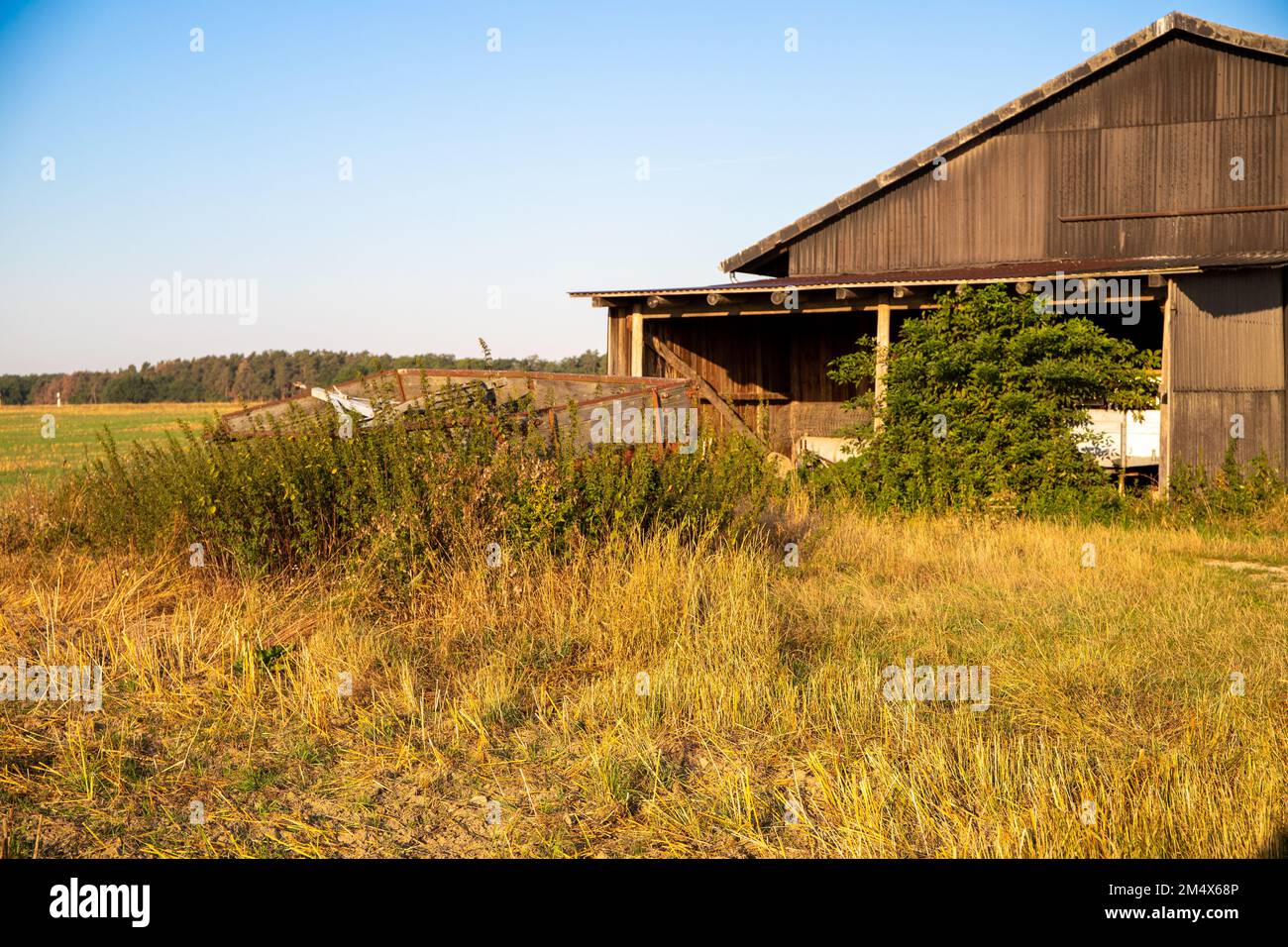 old overgrown barn overgrown with plants. High quality photo Stock ...