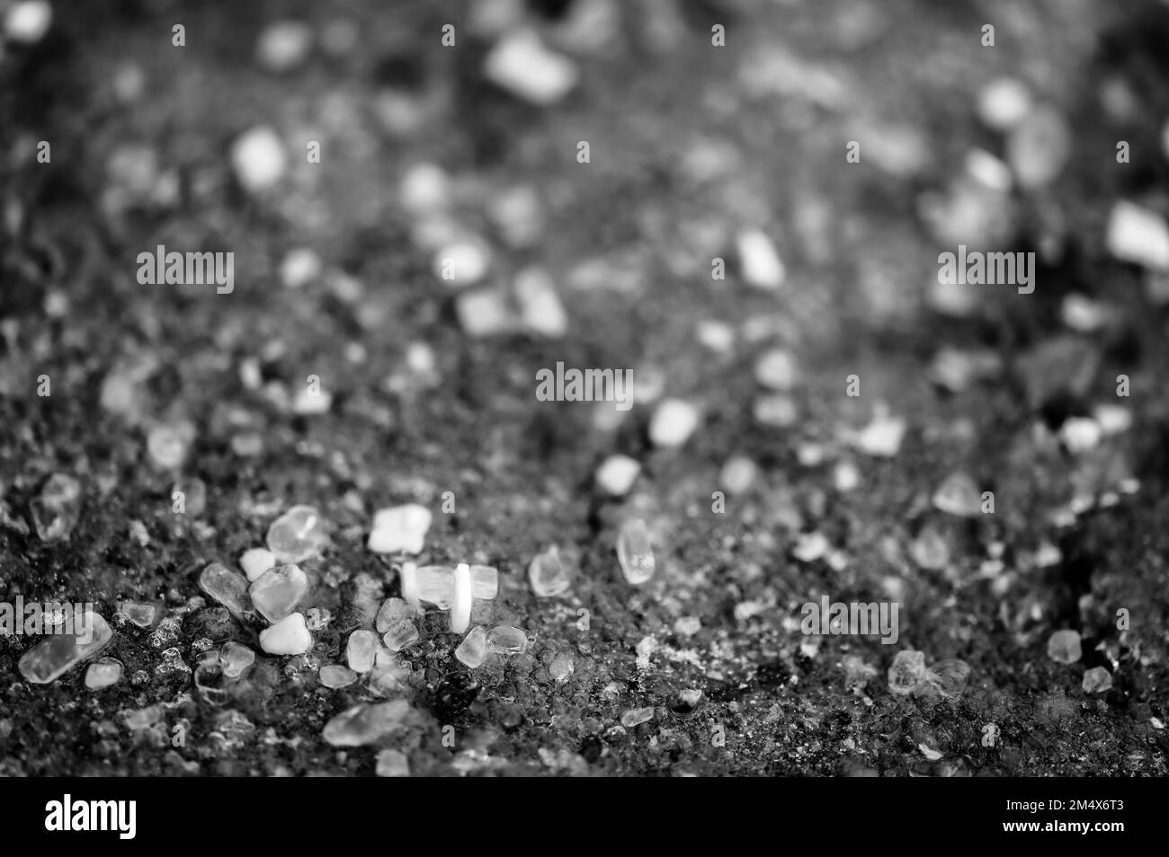 macro ground level closeup view of rock salt ice-melt on concrete with ...