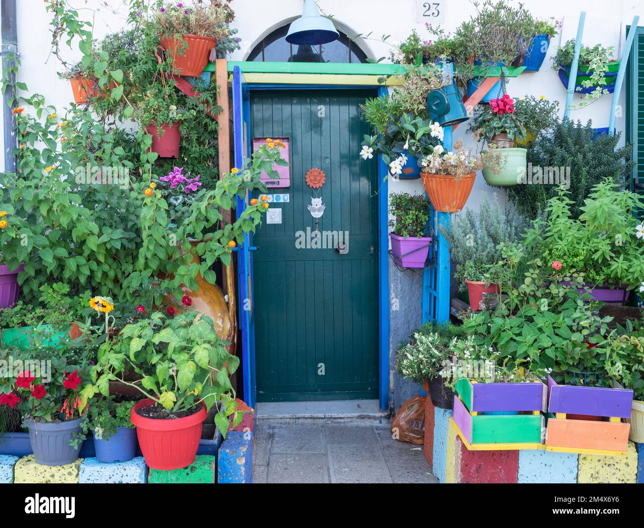 Colourful front garden, Old Town, Bari, Puglia, Italy Stock Photo - Alamy