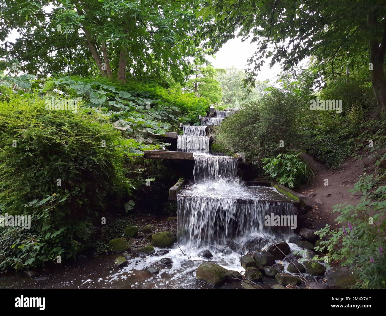 a nice view of nature in the park Stock Photo - Alamy