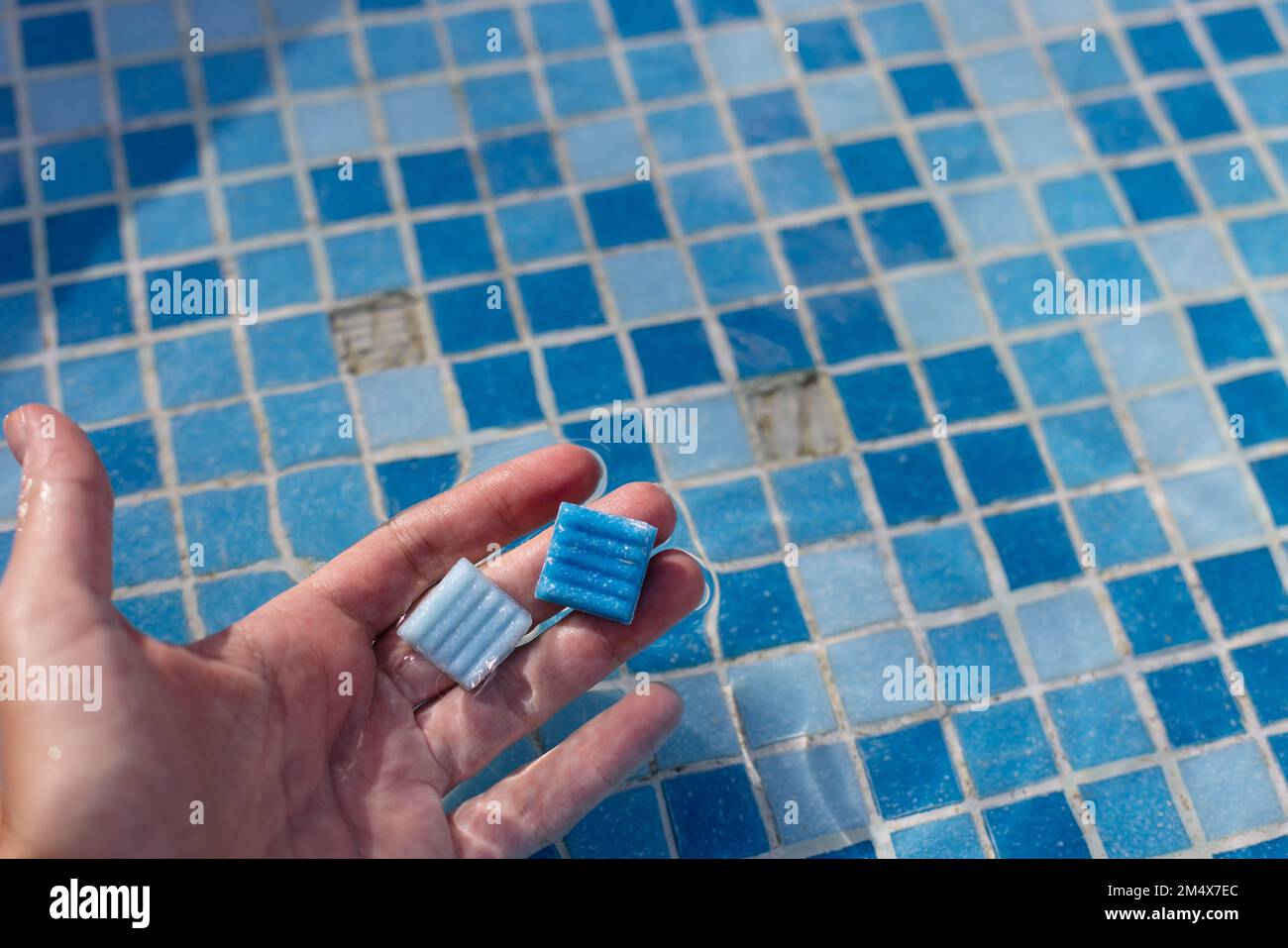 Hand holding small tile from floor of swimming pool. Damaged swimming ...