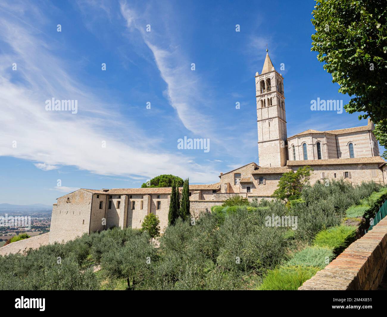 Basilica of St Clare, Assisi, Umbria, Italy Stock Photo - Alamy