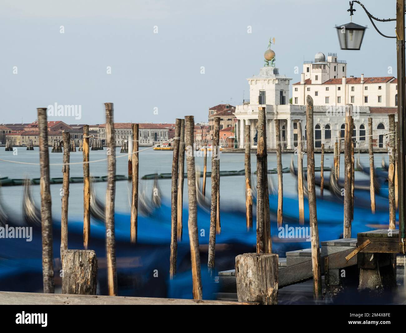 Gondolas on the Grand Canal with the Customs House in the background ...