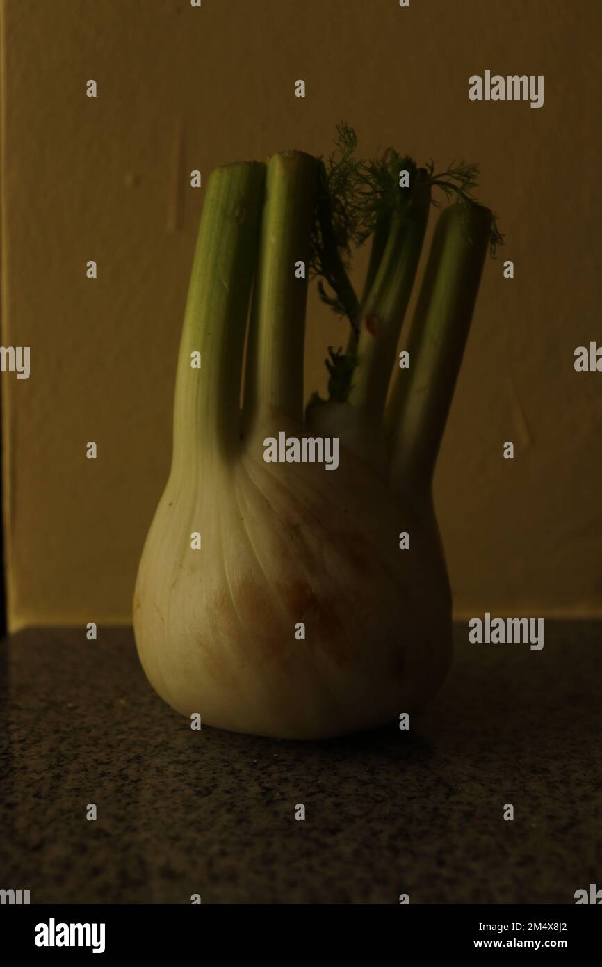 Fennel foeniculum vulgare detail hi-res stock photography and images ...
