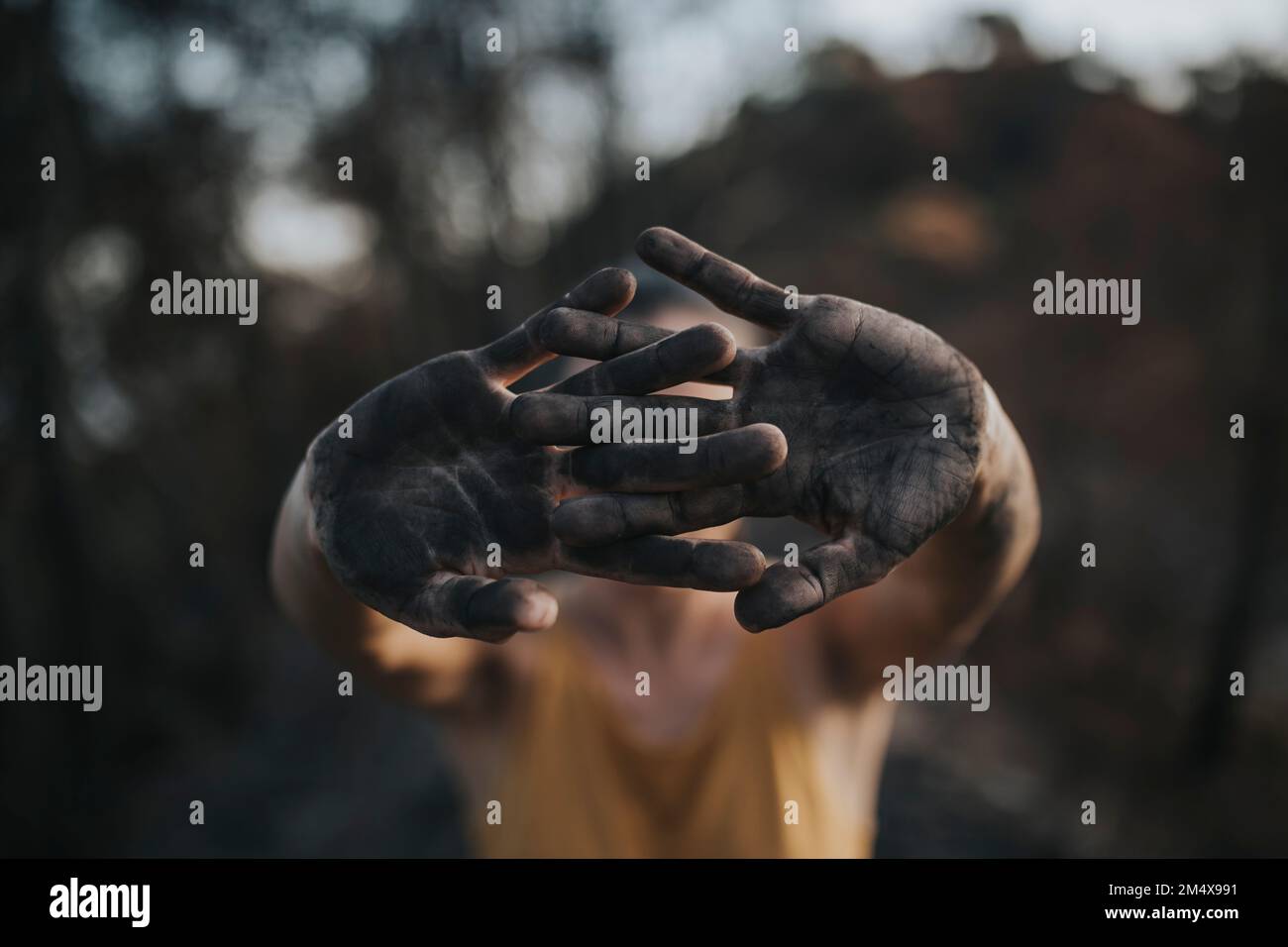 Woman showing hands black with ash standing in burnt forest Stock Photo ...