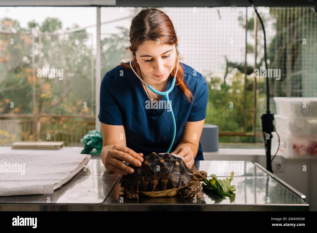 Turtle uniform hi-res stock photography and images - Alamy