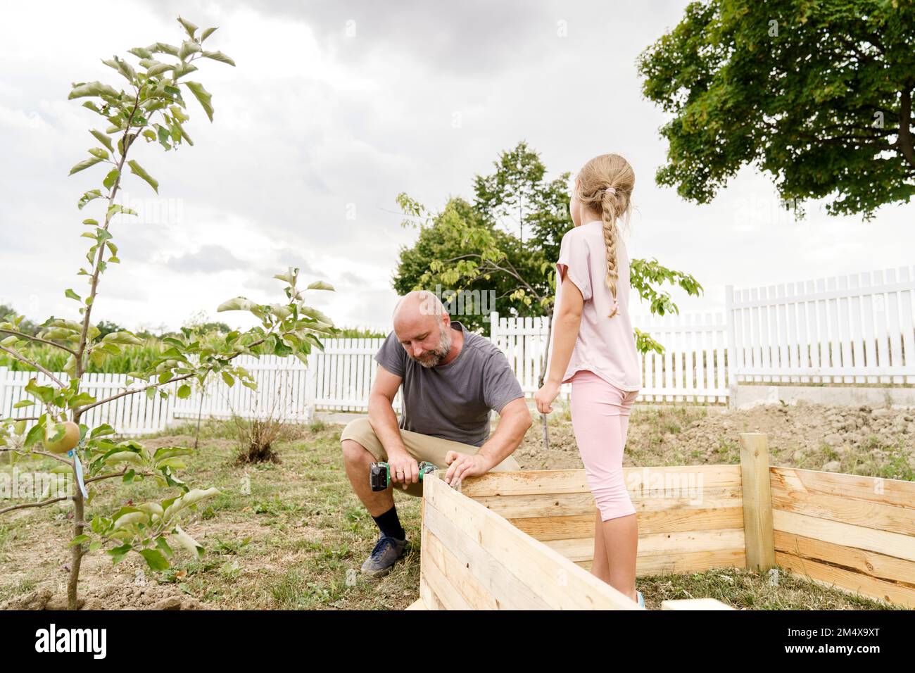 Father making raised bed crouching in back yard with daughter Stock ...