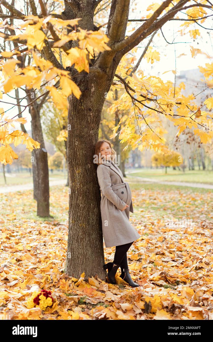 Leaning maple tree hi-res stock photography and images - Alamy