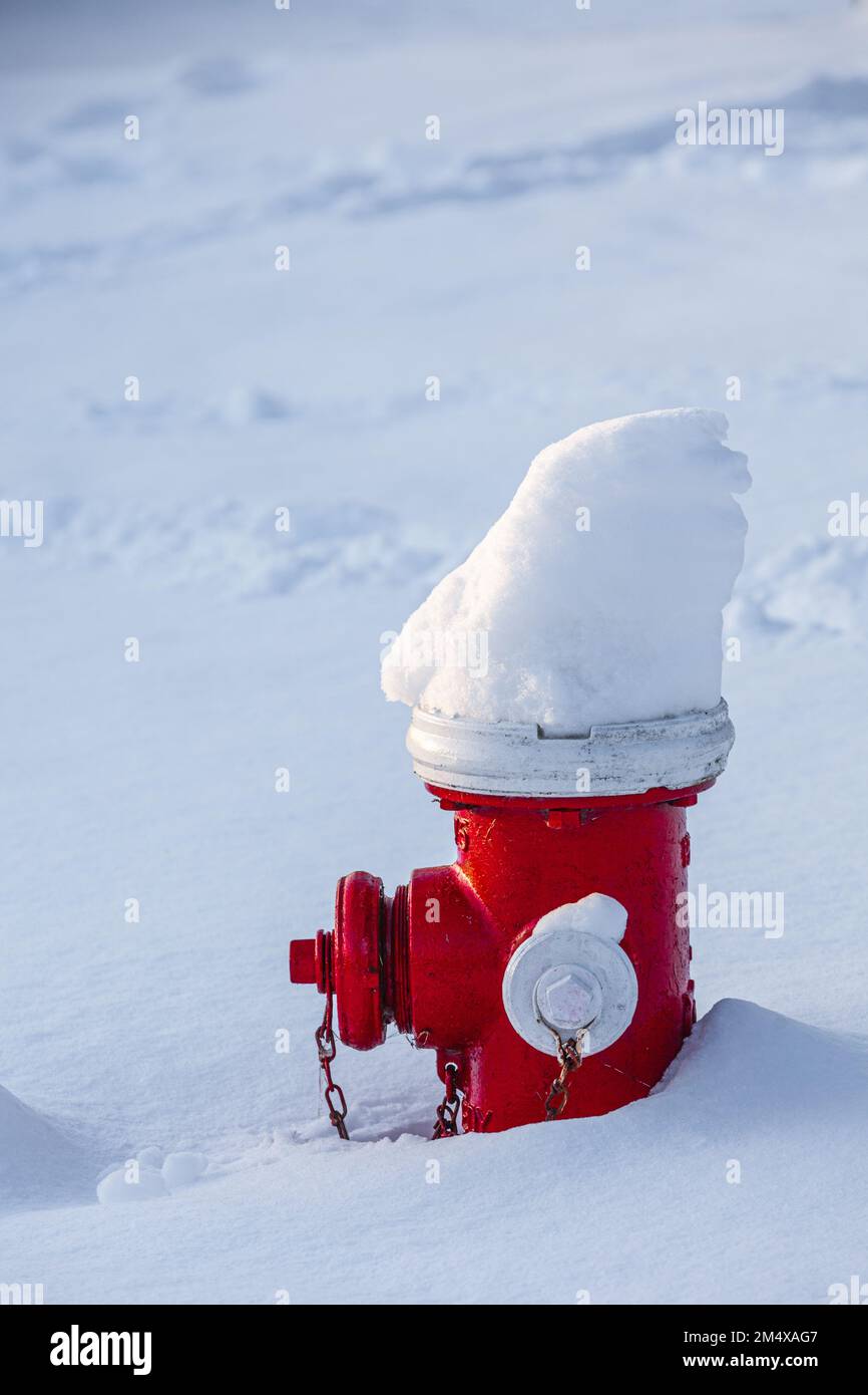 Fire hydrant in deep snow along the Steveston waterfront in British ...