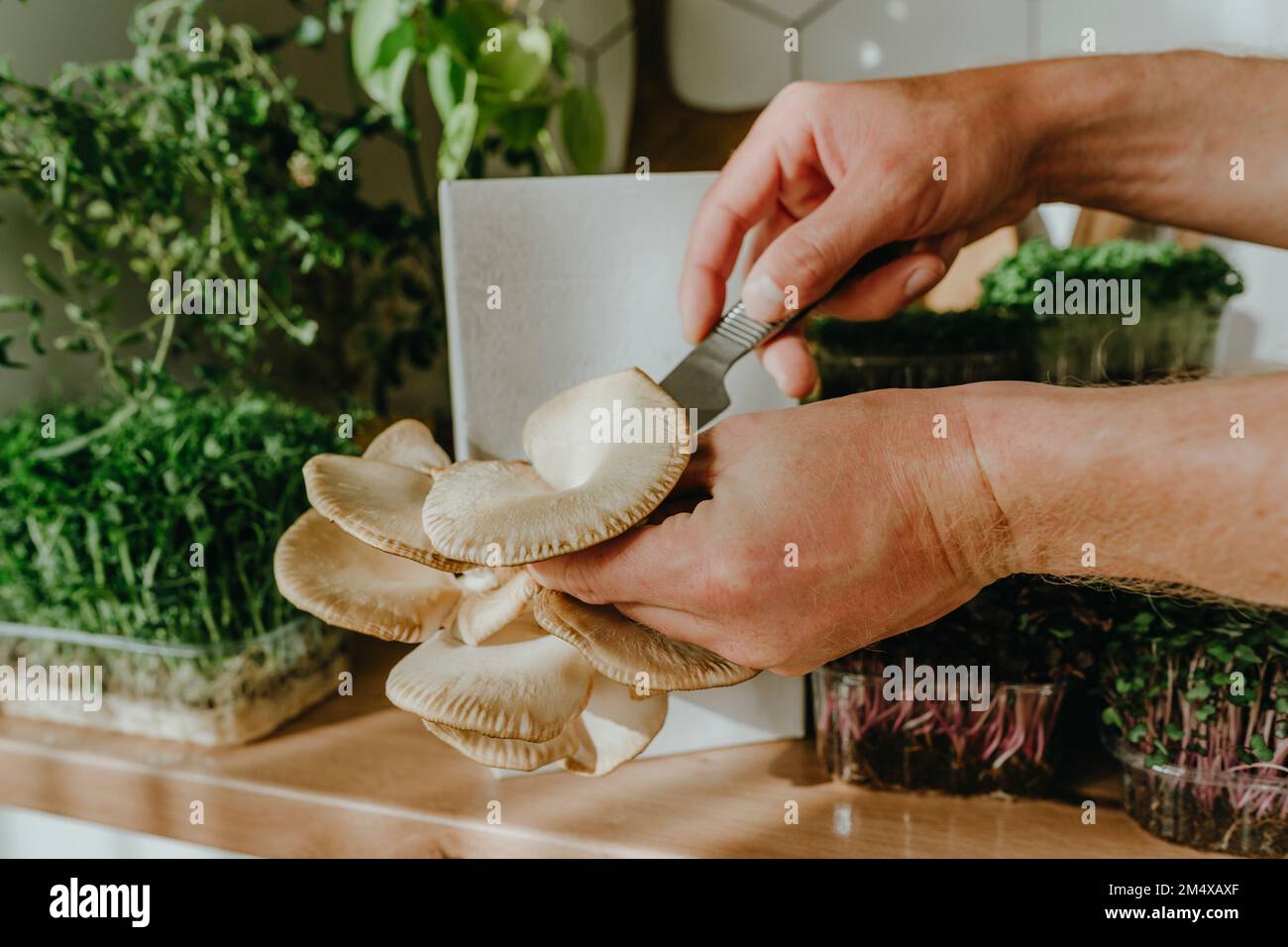 Man eating mushroom hi-res stock photography and images - Alamy