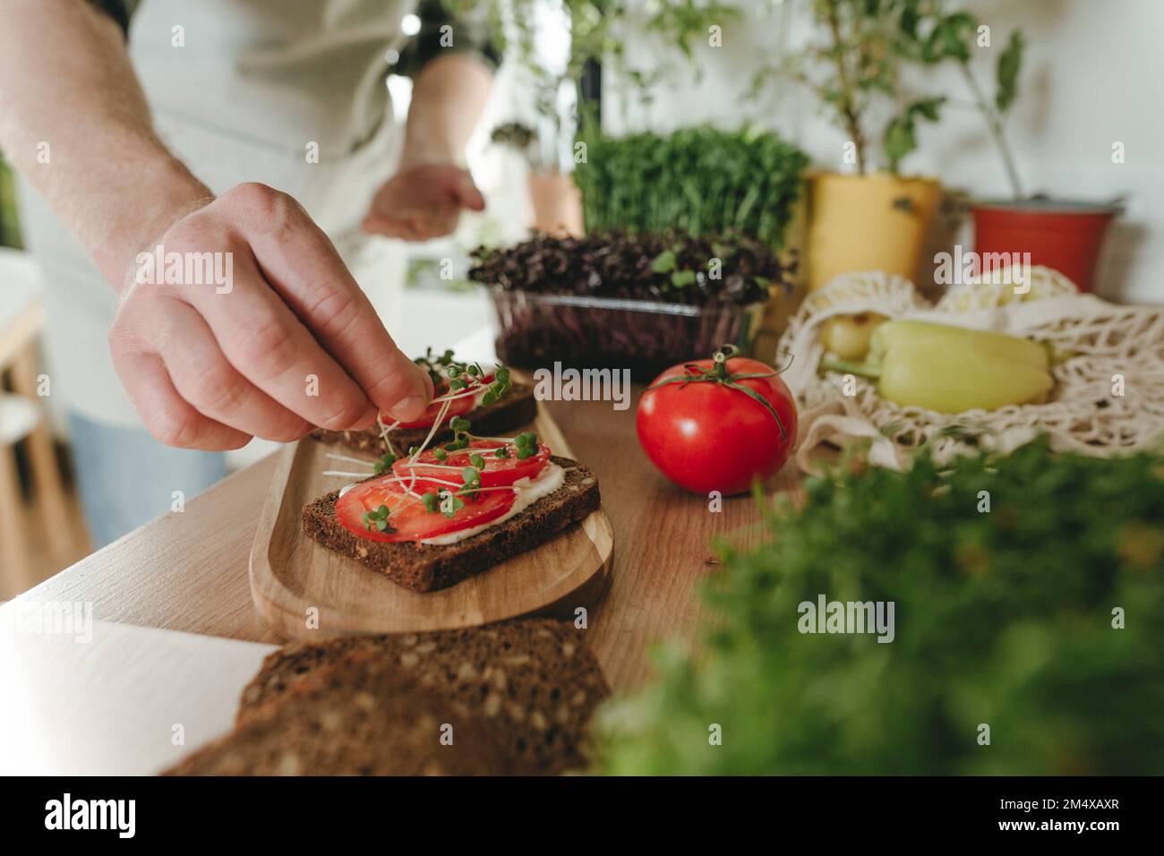 Man making sandwich with homegrown microgreens in kitchen at home Stock ...