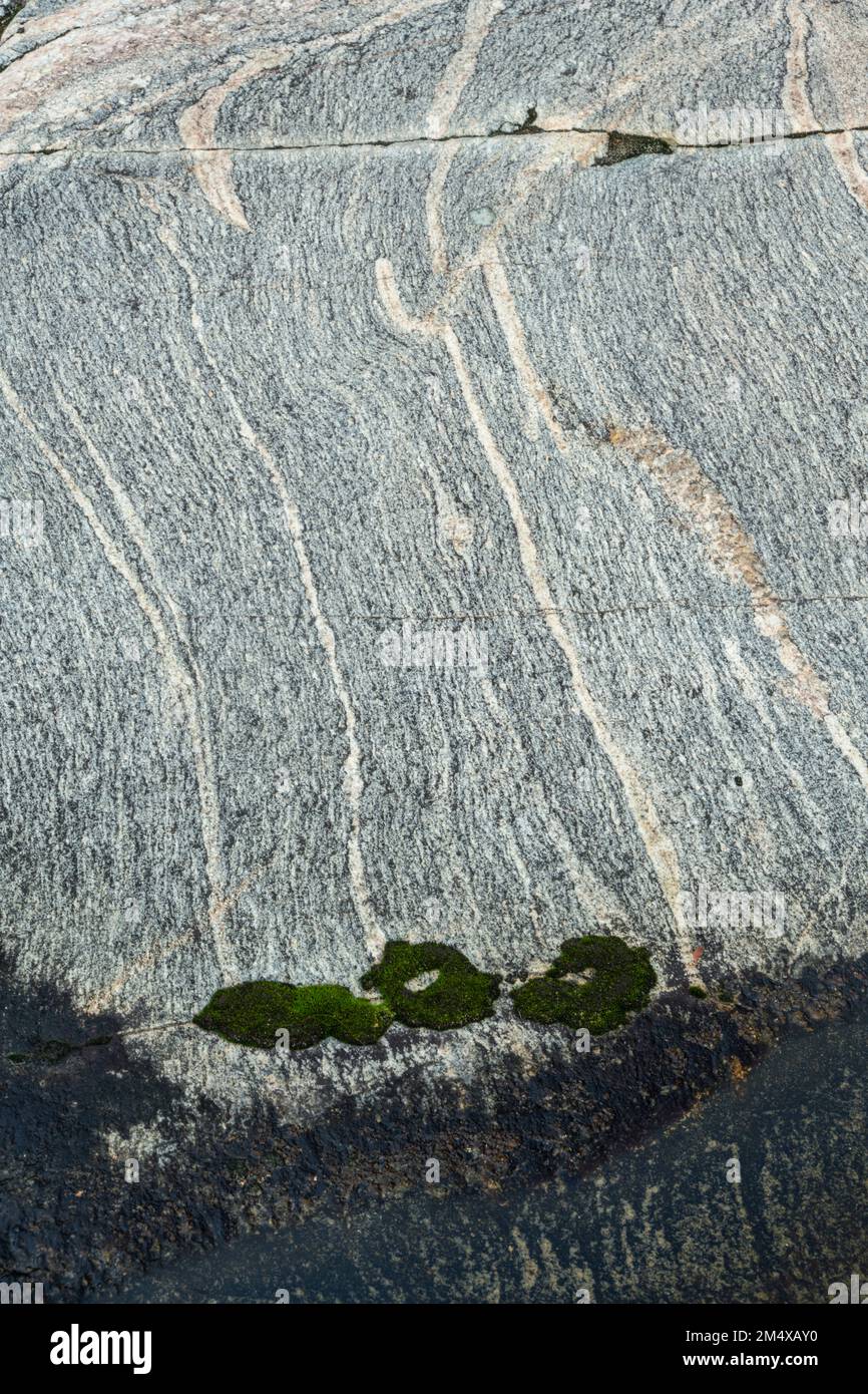Shoreline granite outcrops with igneous dykes and lichen at Katherine ...