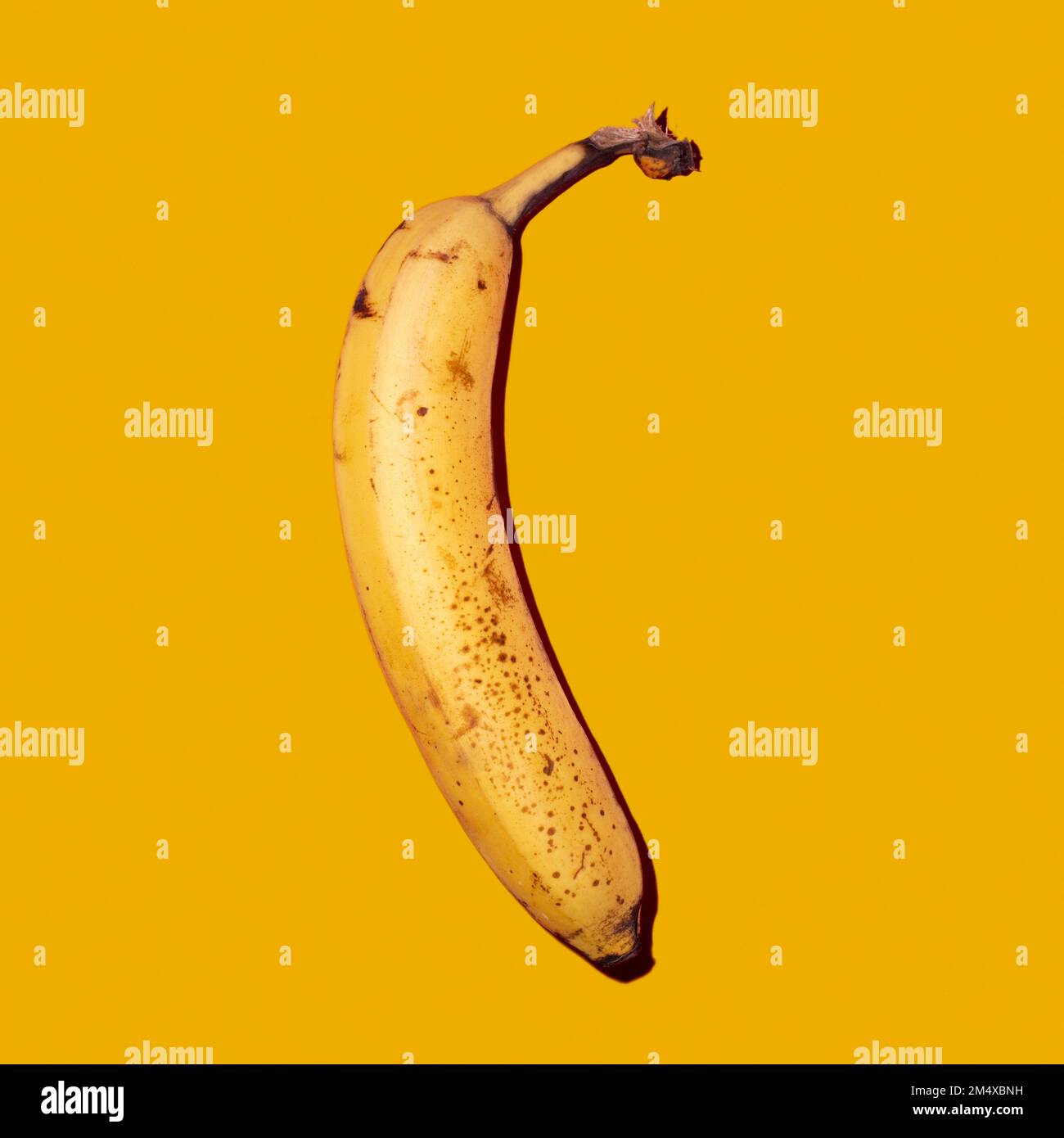 Banana studio shot hi-res stock photography and images - Alamy
