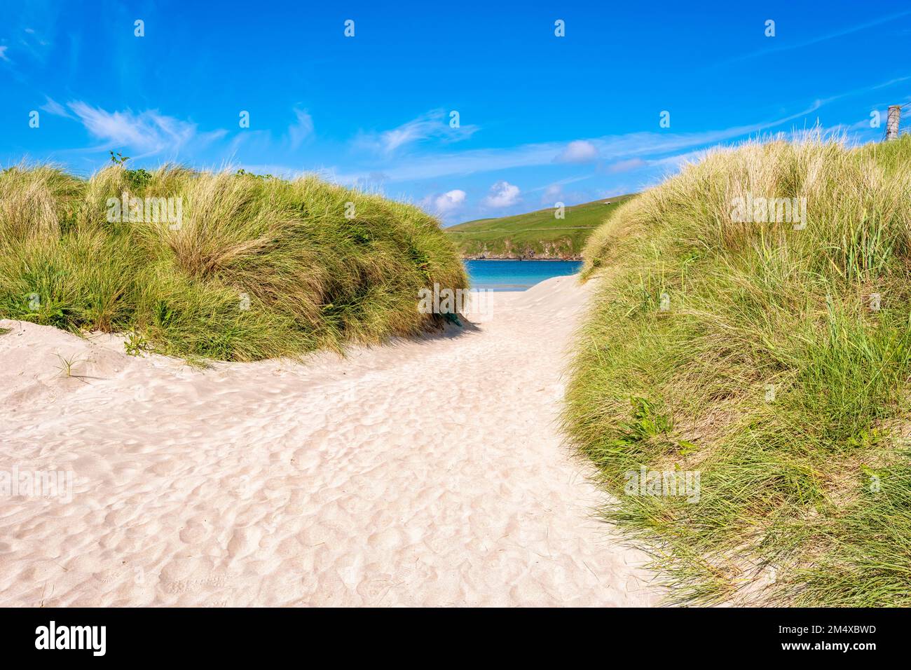 Dunes grassy hi-res stock photography and images - Alamy
