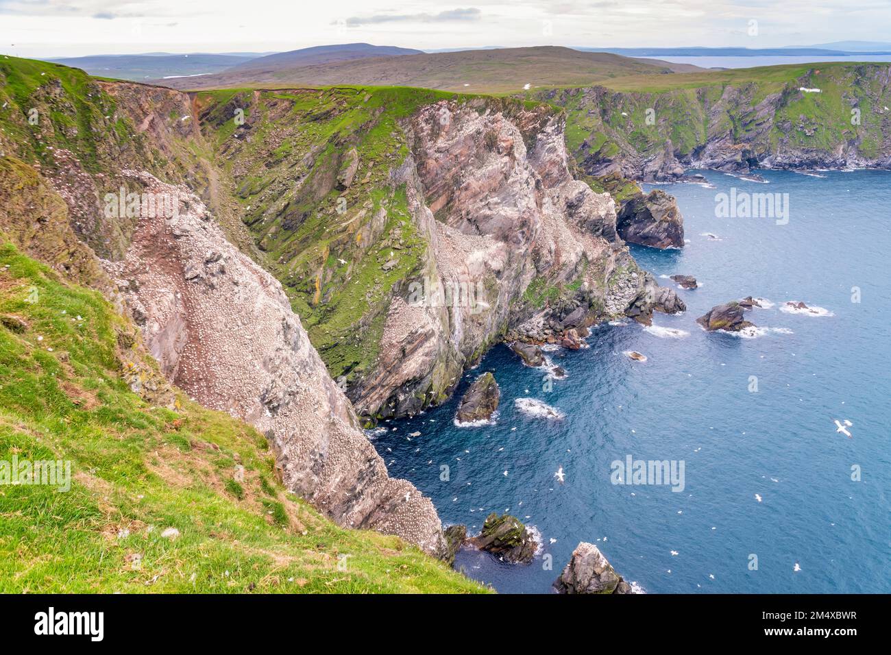 UK, Scotland, Unst, View of scenic cliffs in Hermaness National Nature ...