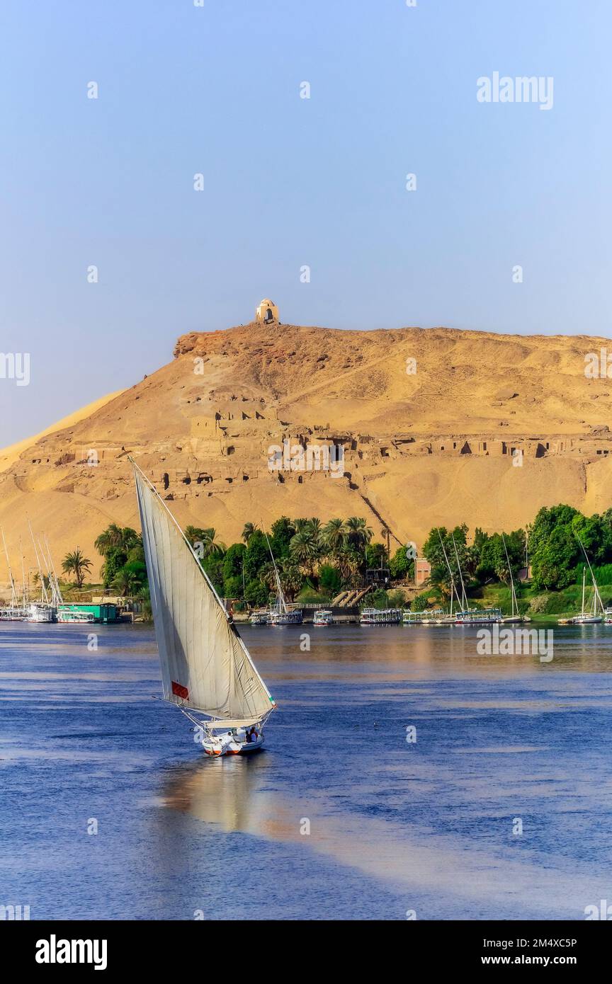 Egypt, Aswan Governorate, Aswan, Catamarain sailing in Nile river with ...