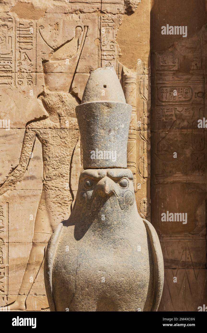 Egypt, Aswan Governorate, Edfu, Falcon sculpture at Temple of Edfu ...