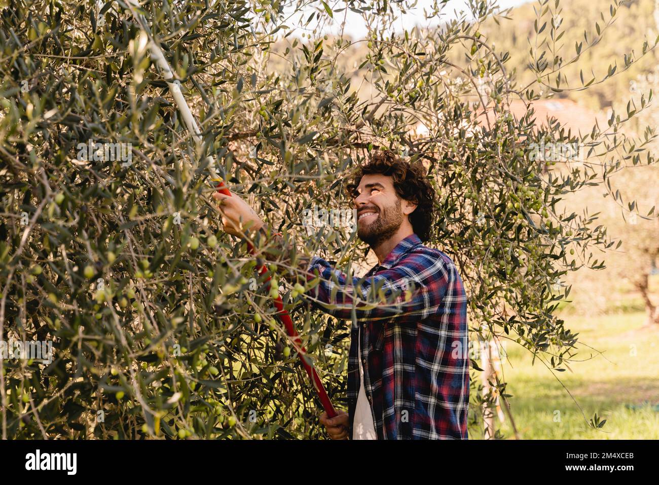 Man eating tree hi-res stock photography and images - Alamy