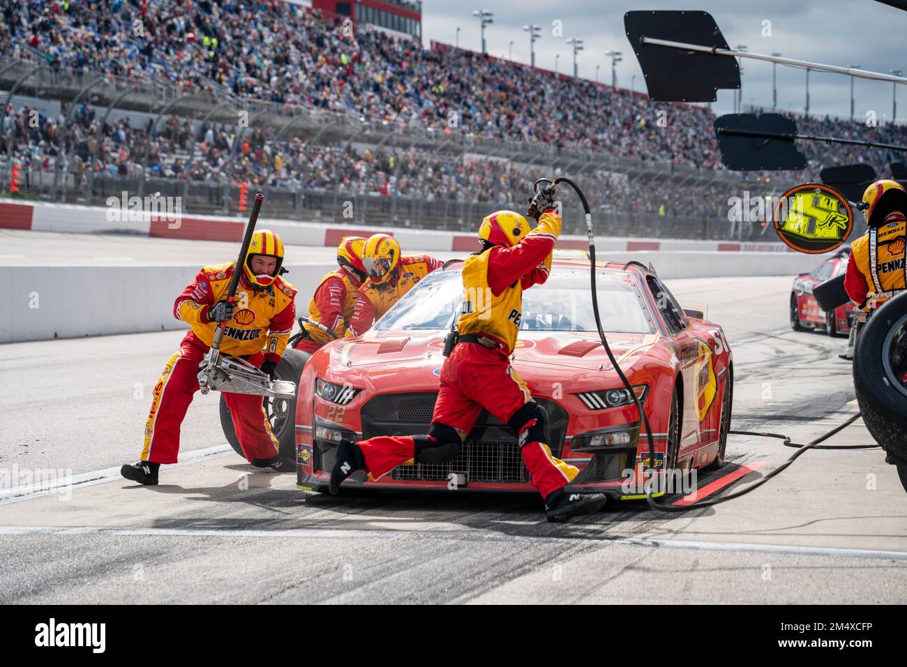 Joey Logano and crew make a pitstop for the Goodyear 400 at Darlington ...