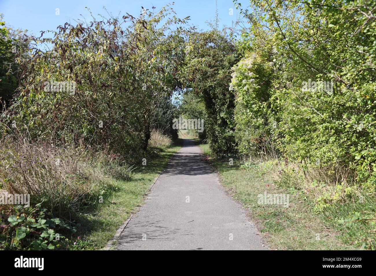 400000 years hi-res stock photography and images - Alamy