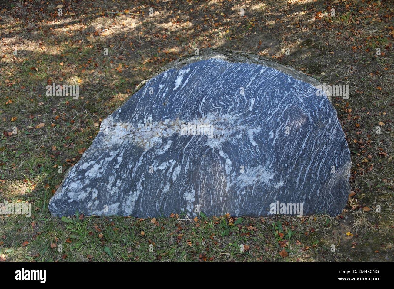 Swanscombe man hi-res stock photography and images - Alamy