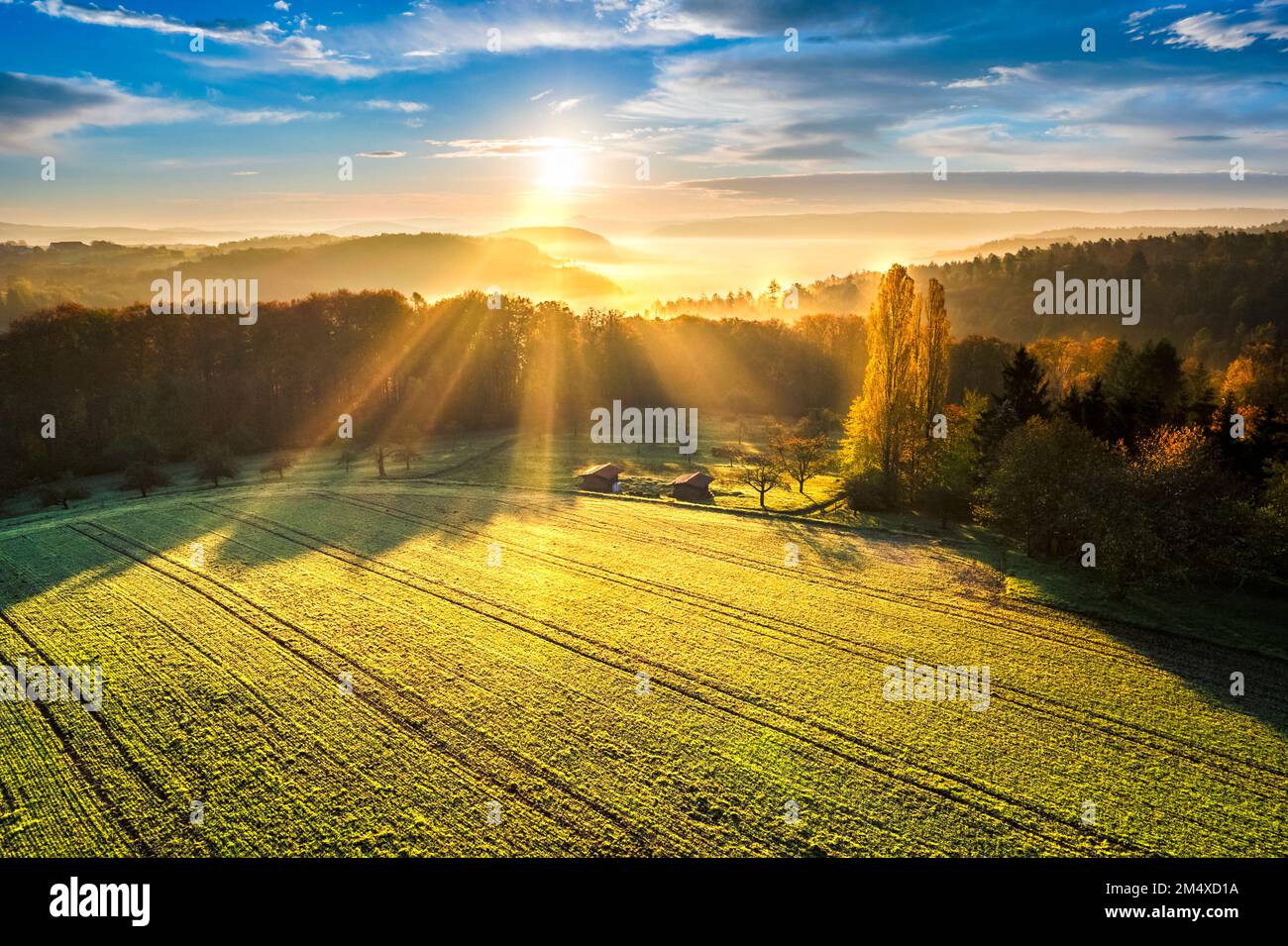 Aerial view autumn field forest hi-res stock photography and images - Alamy