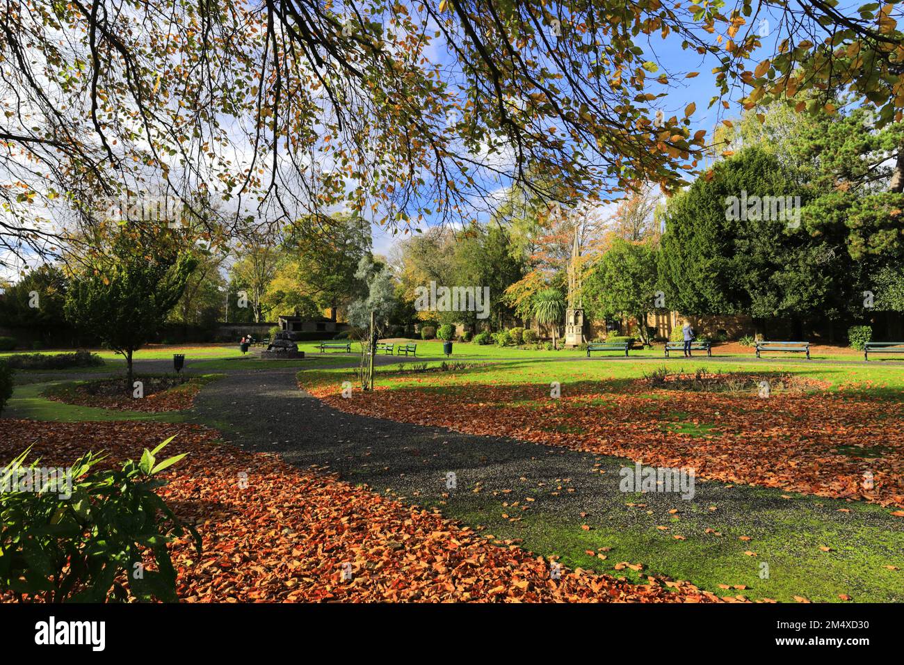 Autumn view over Bishops Gardens, Peterborough City, Cambridgeshire ...