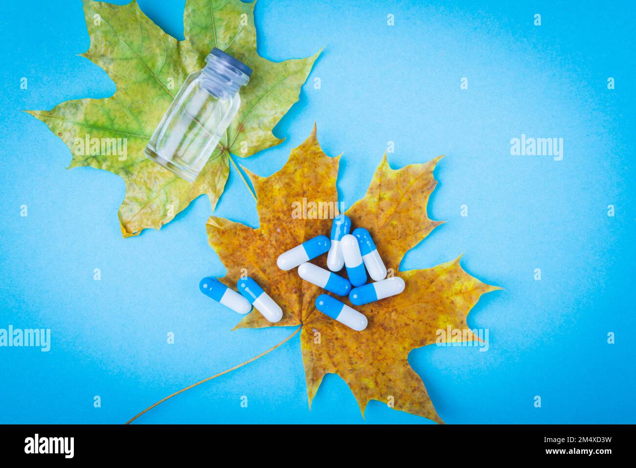 Tablets on autumn leaf. Autumn maple leaf and medicines on blue ...