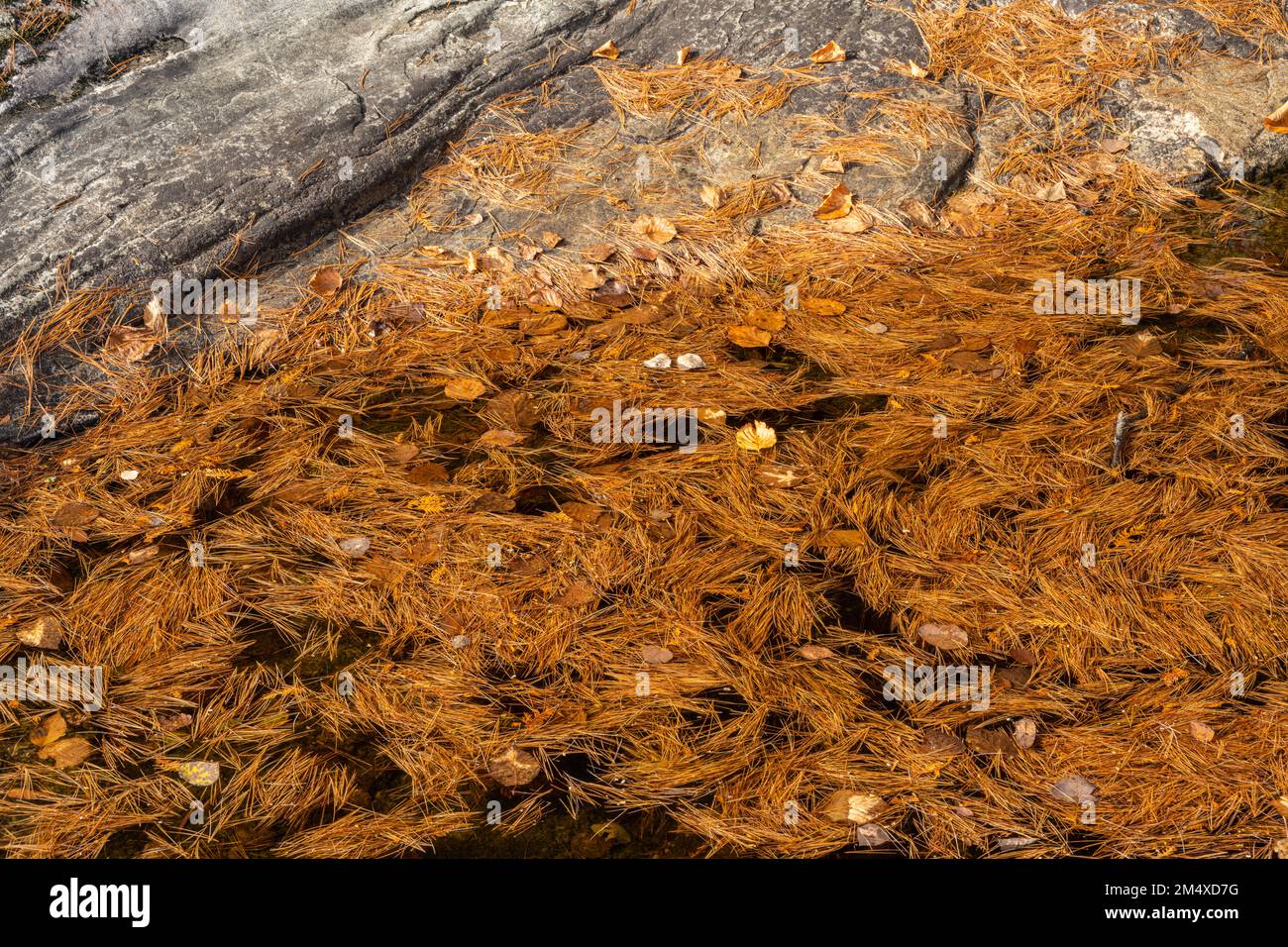 Lake Superior shoreline rocks, Lake Superior Provincial Park, Katherine ...