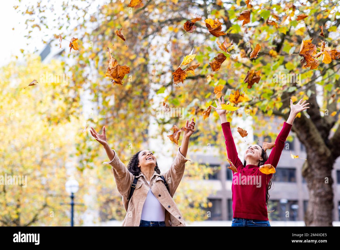 Woman throwing leaves in the air hi-res stock photography and images ...