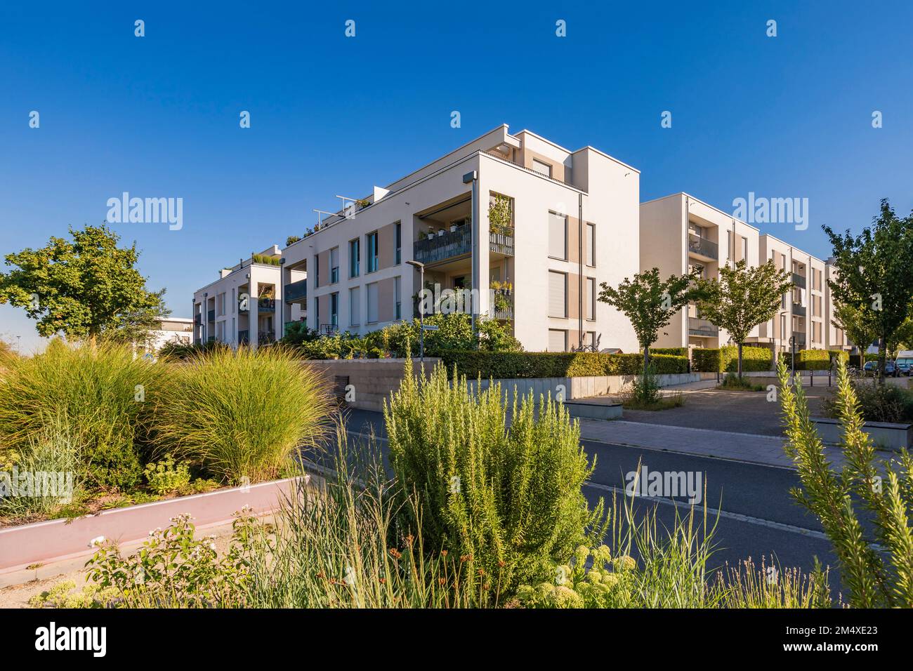 Germany, Baden-Wurttemberg, Heidelberg, Modern suburban houses in ...
