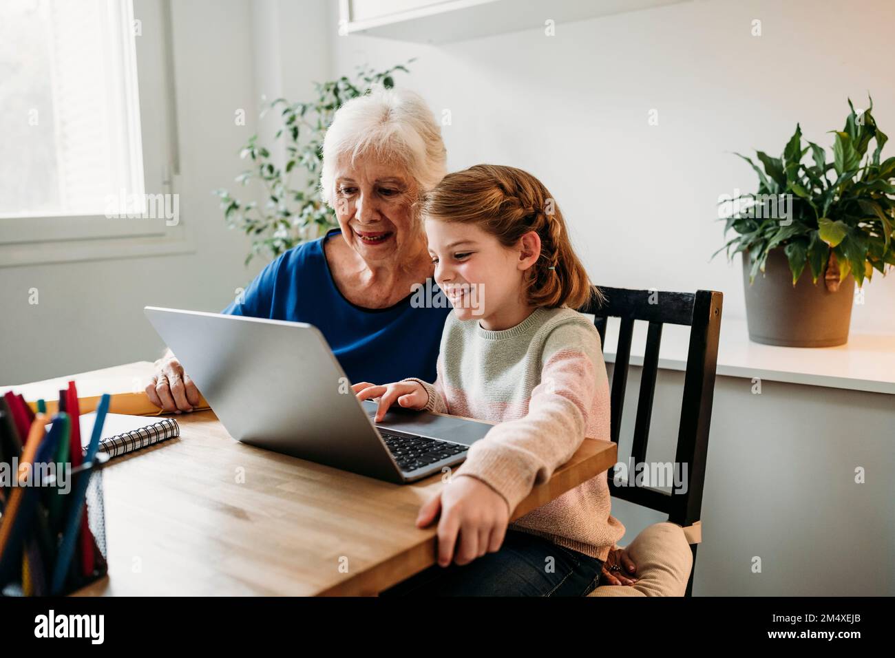 Seniors learning computers hi-res stock photography and images - Alamy
