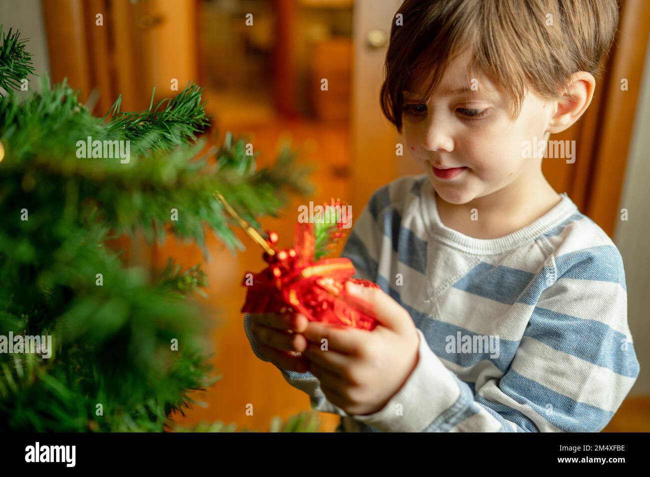 Boy looking at bell hanging on Christmas tree Stock Photo - Alamy