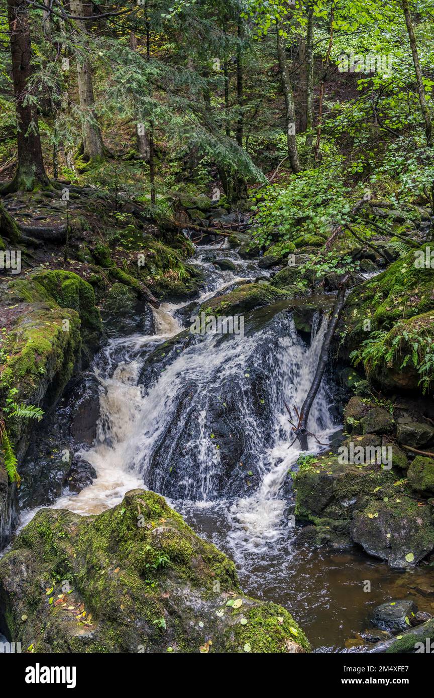 Ravenna stream flowing through ravenna gorge hi-res stock photography ...