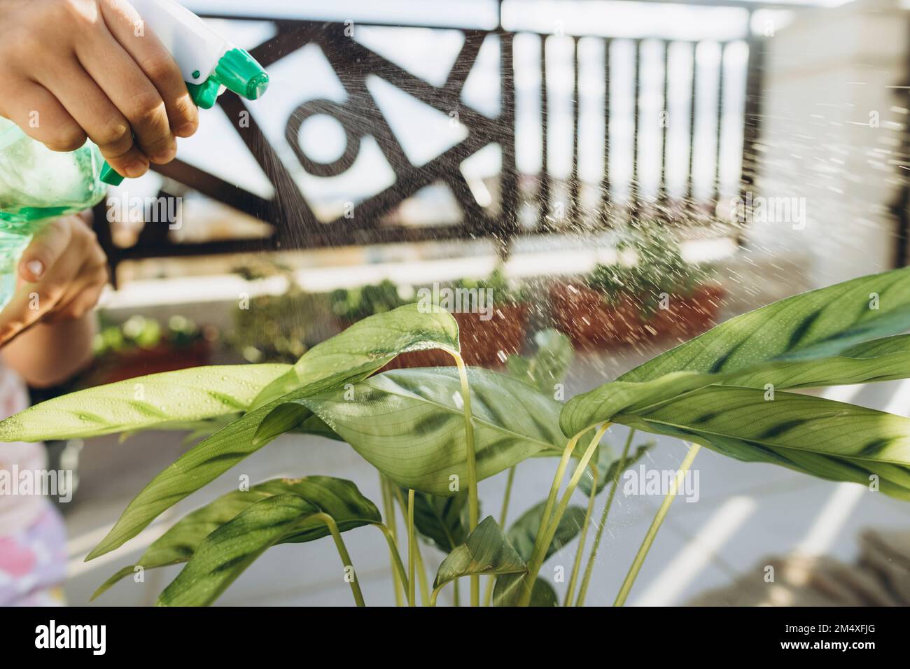 Child plant bottle hi-res stock photography and images - Alamy