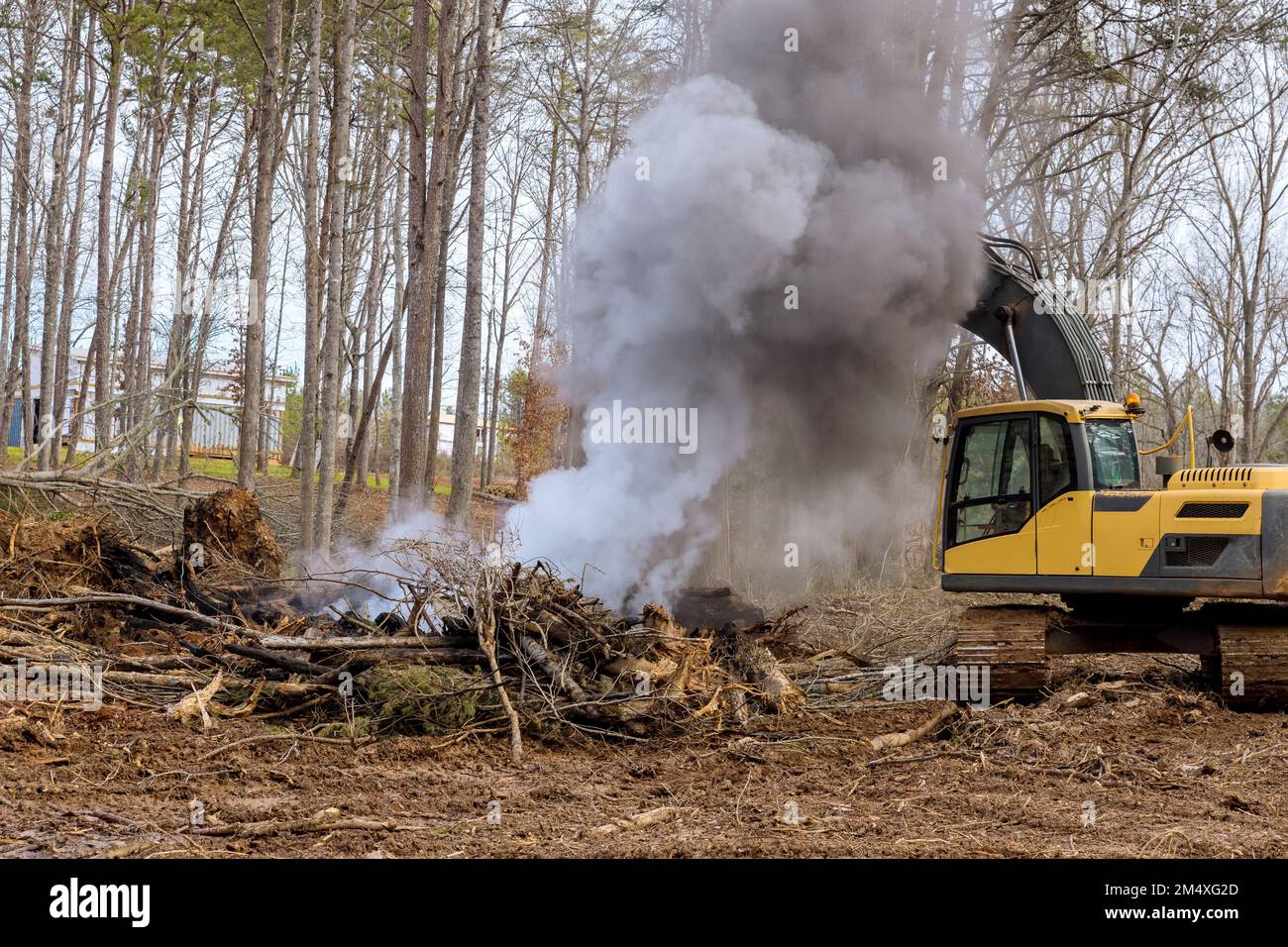 An uprooted forest is being burned in construction site for purpose of ...