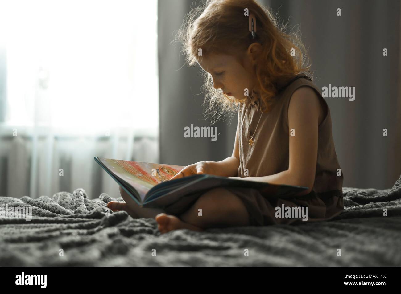 Sitting education reading concentration book hi-res stock photography ...