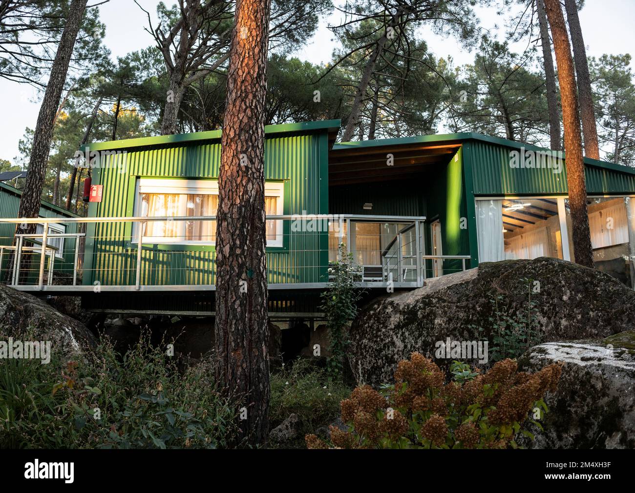 Green residential building in remote forest Stock Photo - Alamy