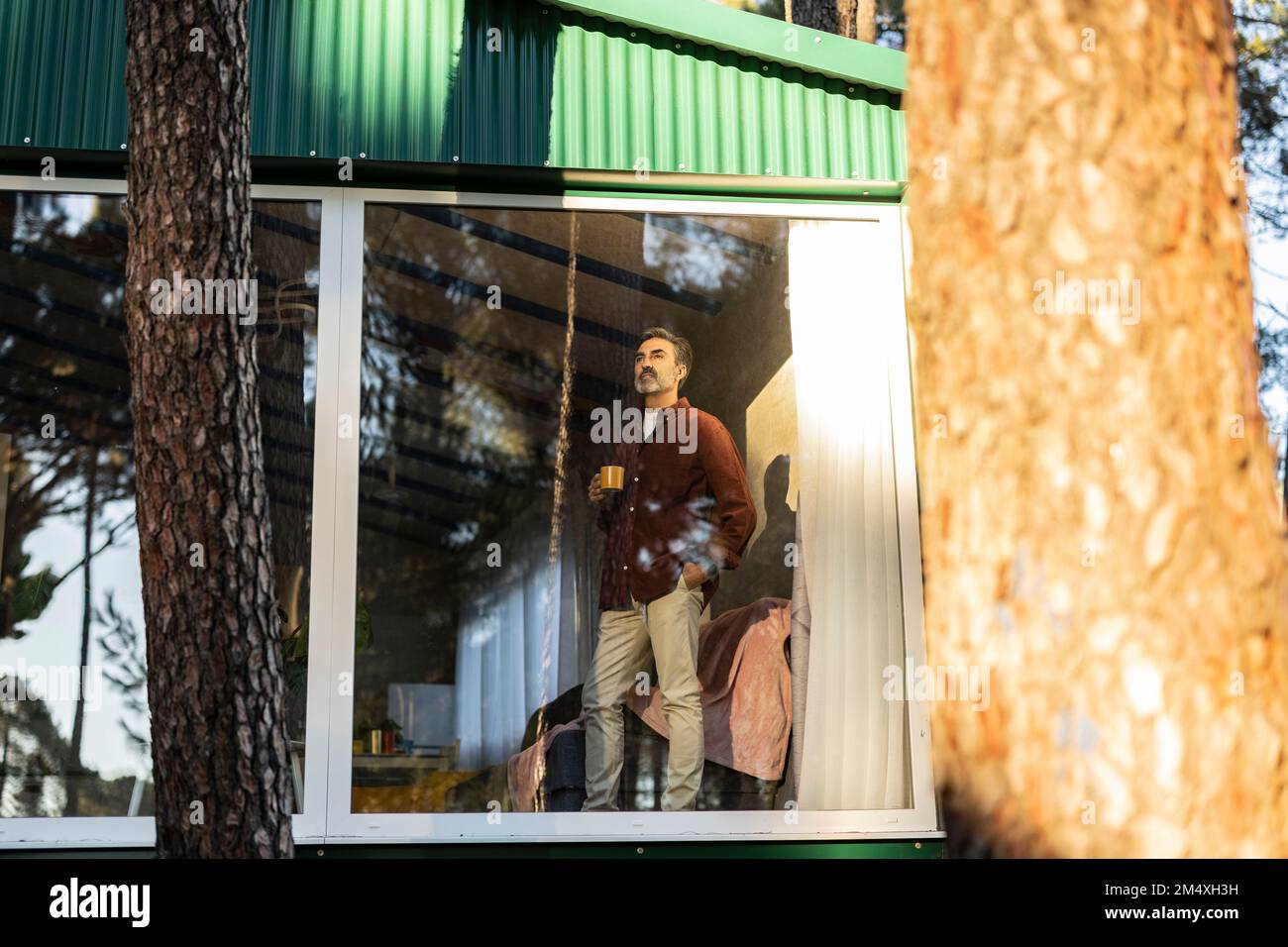 Mature man standing at the window of a house looking out Stock Photo ...