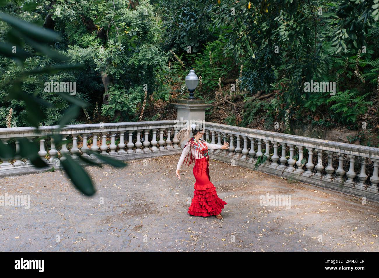 Female dancer dancing near in front of trees Stock Photo - Alamy