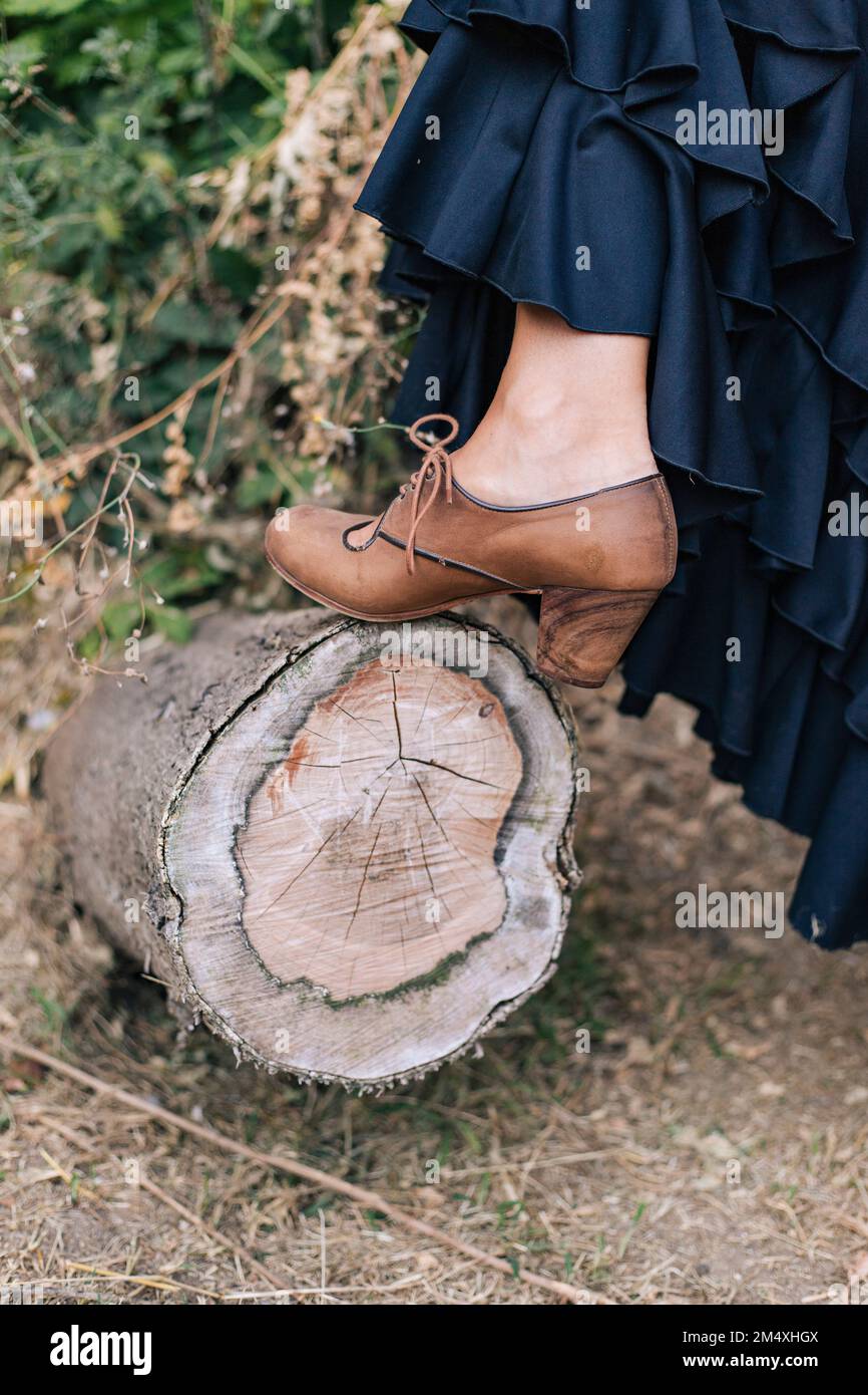 Flamenco dancer wearing shoe keeping leg on tree stump Stock Photo - Alamy