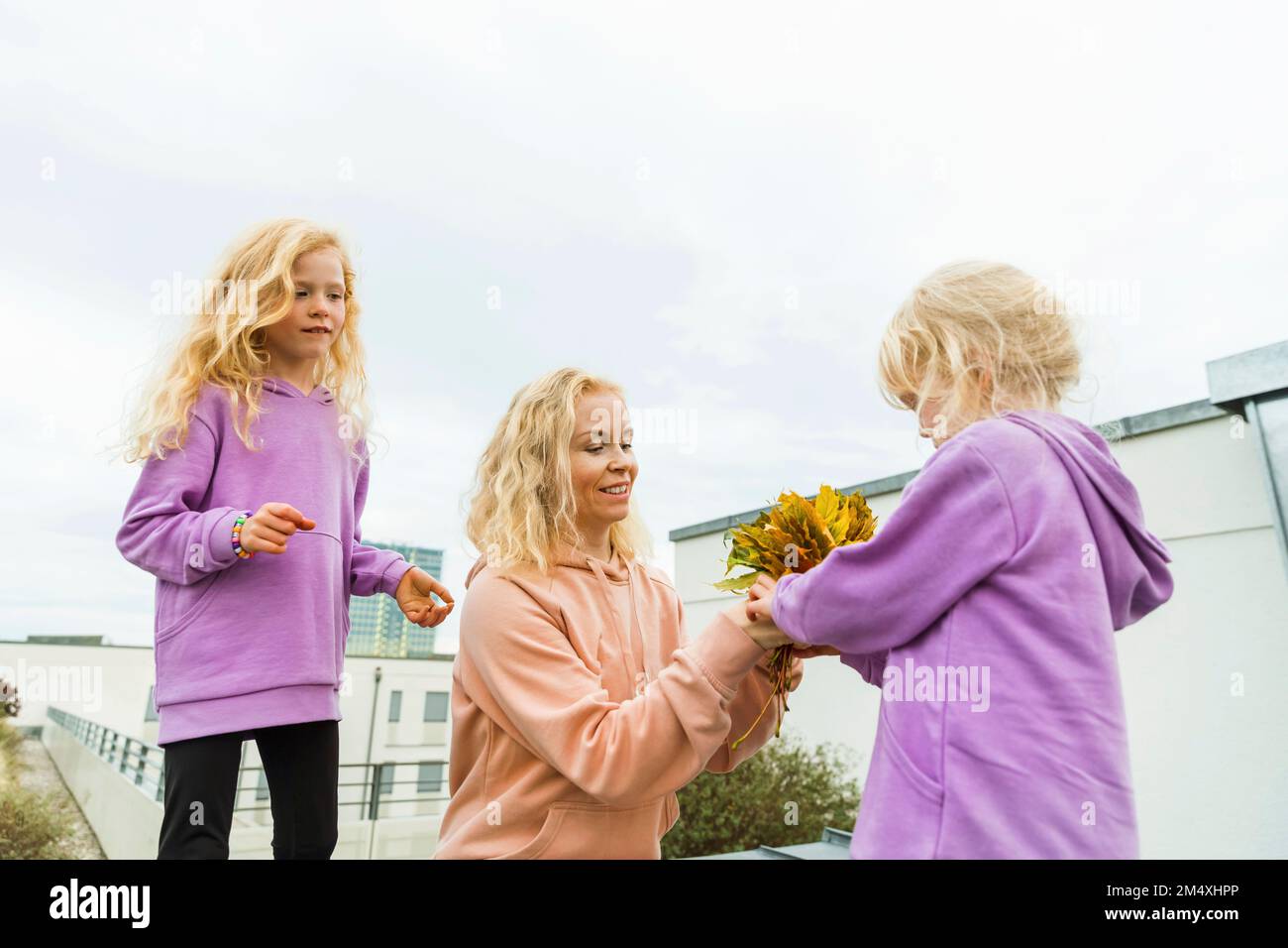 Mother and daughter collecting autumn leaves Stock Photo - Alamy