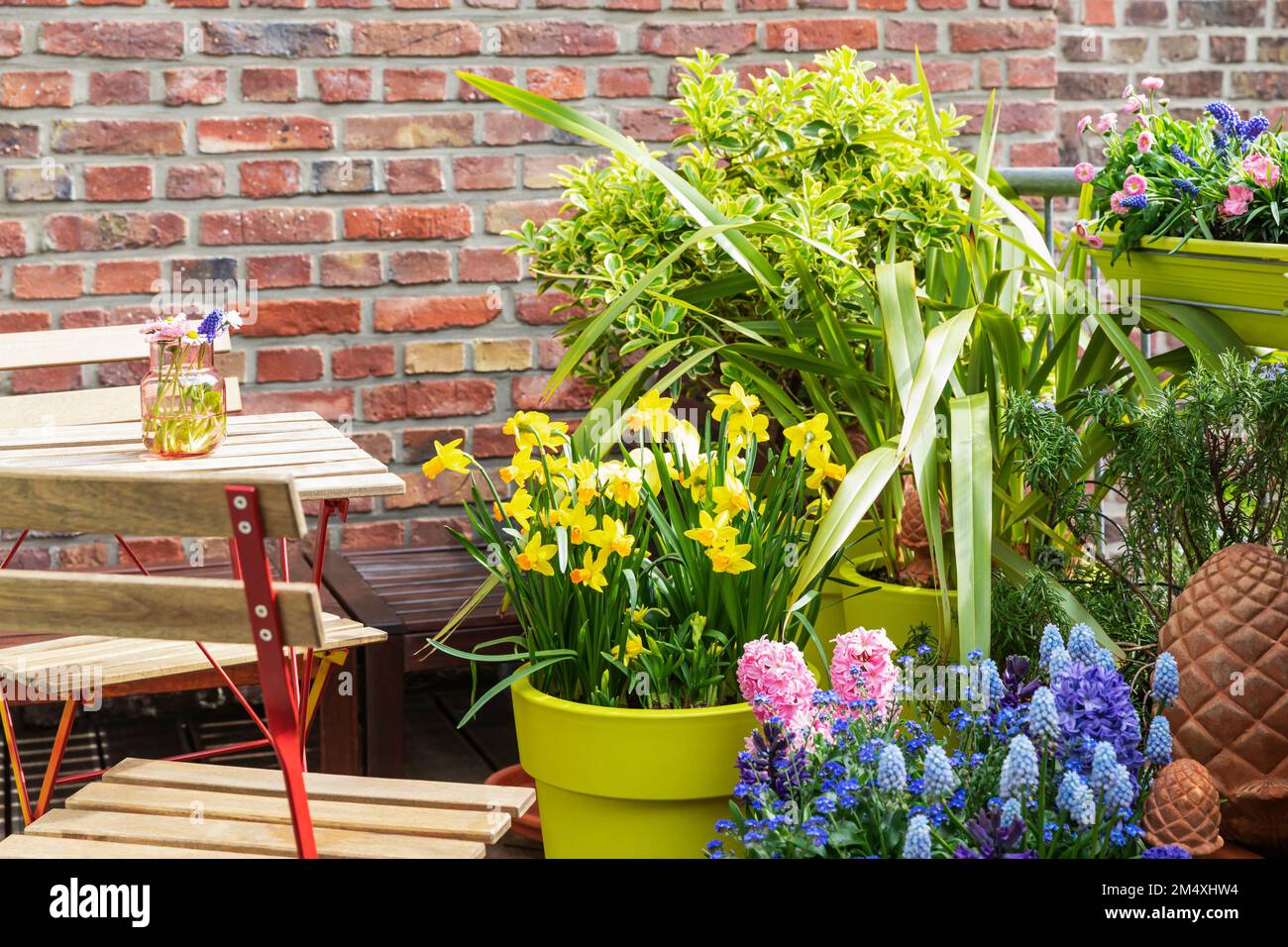 Springtime flowers cultivated on balcony Stock Photo - Alamy