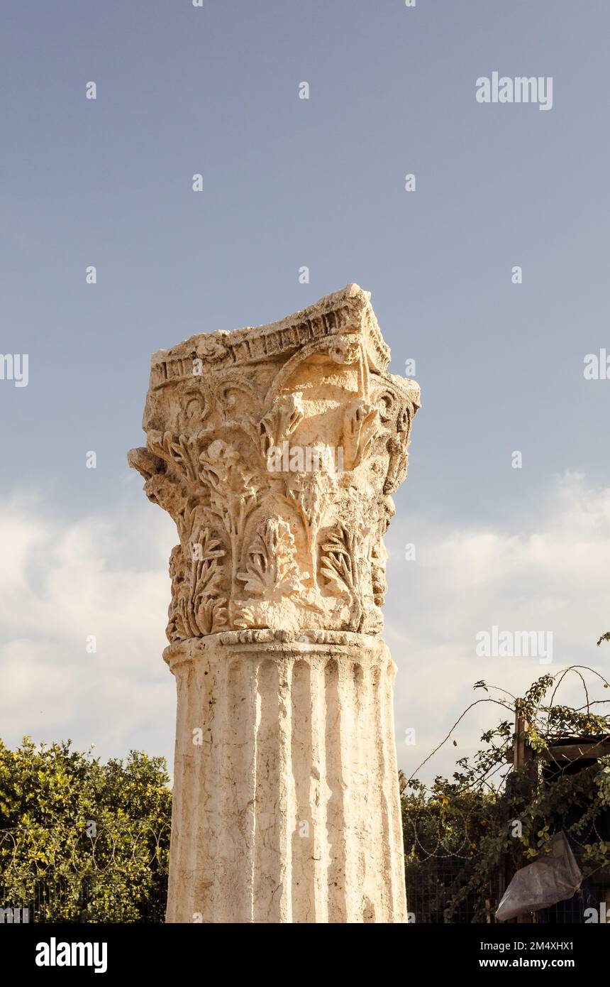 Column Pillars of Soli-Pompeiopolis, Mersin, Turkey Stock Photo - Alamy