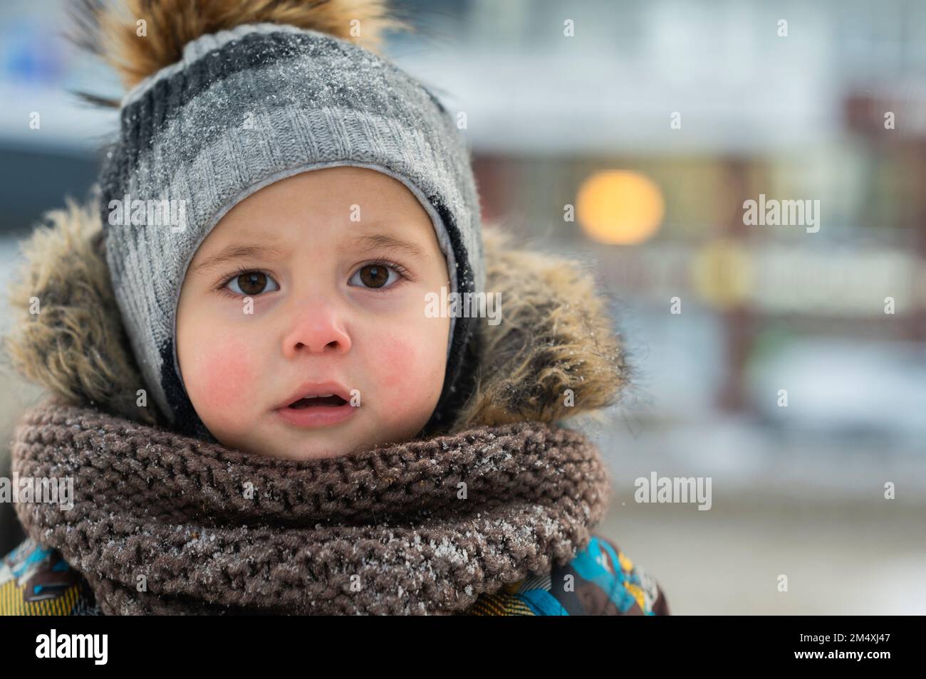 Cute boy wearing warm clothing in winter Stock Photo - Alamy